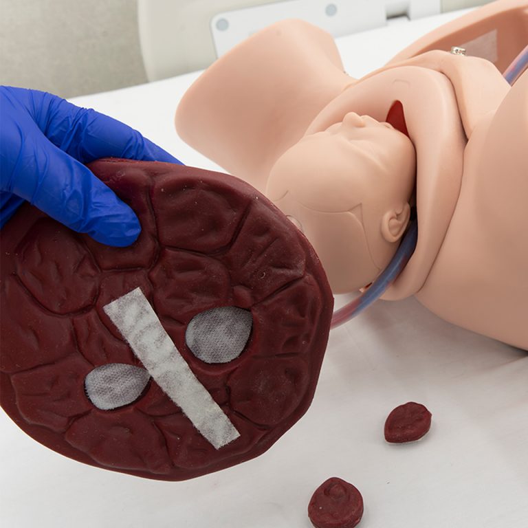 ABDOMINAL EXAMINATION AND CHILDBIRTH SIMULATOR - SIM-MOD