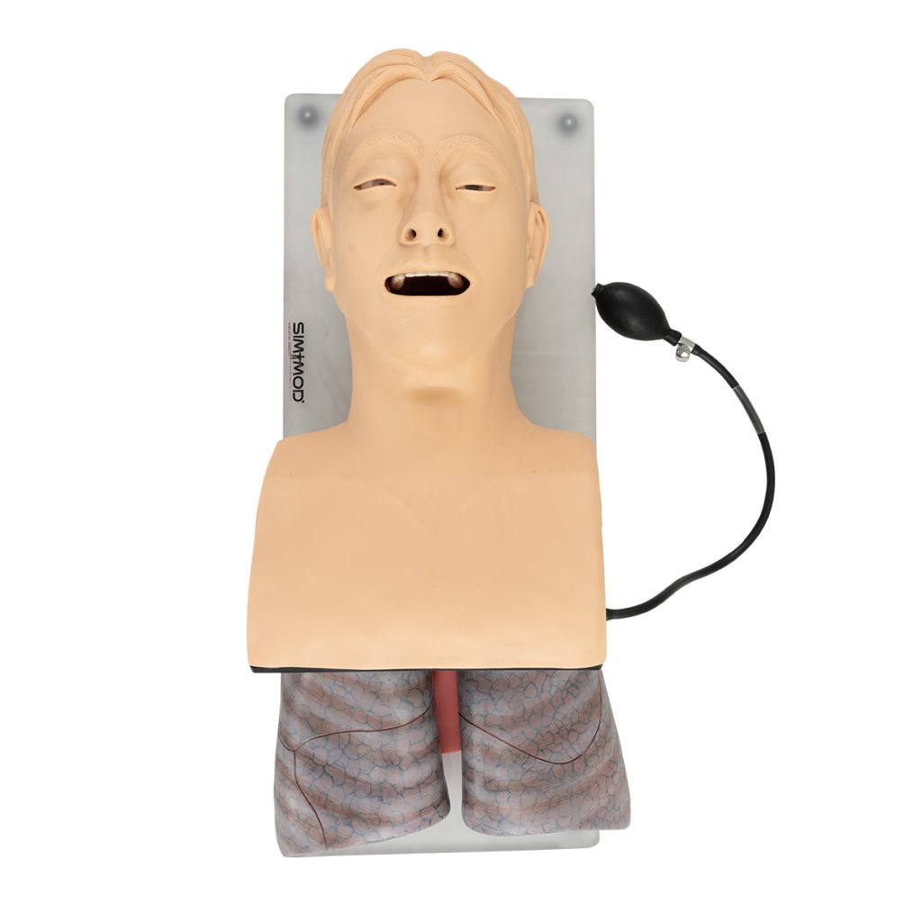 TRACHEAL INTUBATION SIMULATOR - SIM-MOD