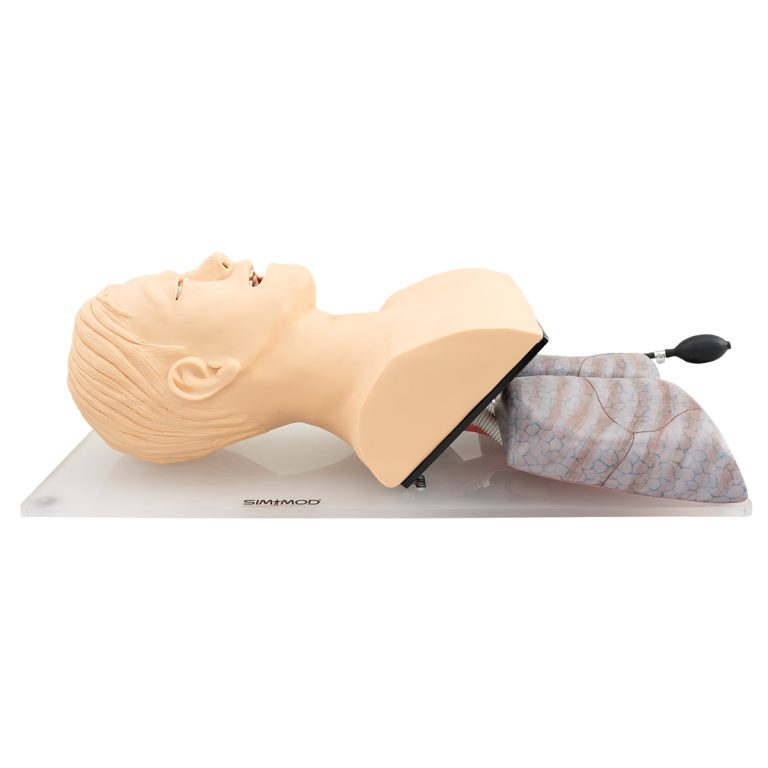 Tracheal Intubation Simulator - SIM-MOD