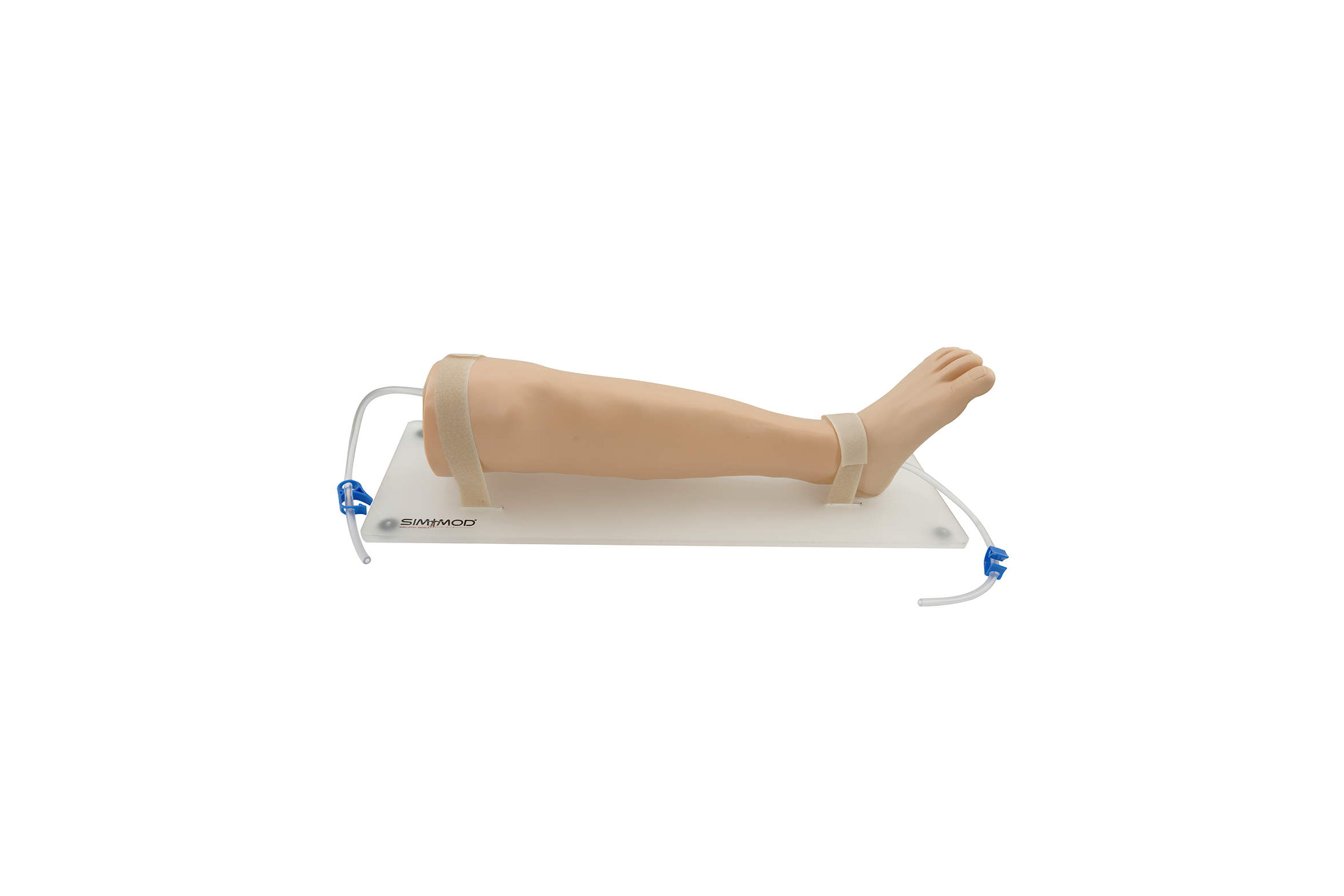 ADULT BONE MARROW ASPIRATION SIMULATOR - SIM-MOD